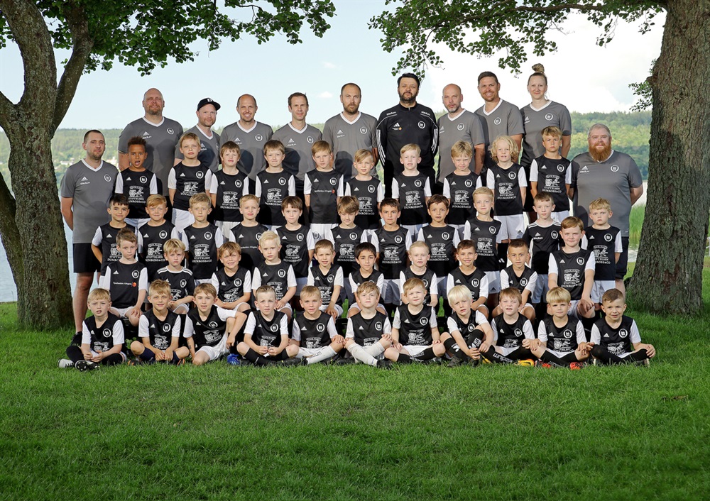 Lerums IS - P17 Lila